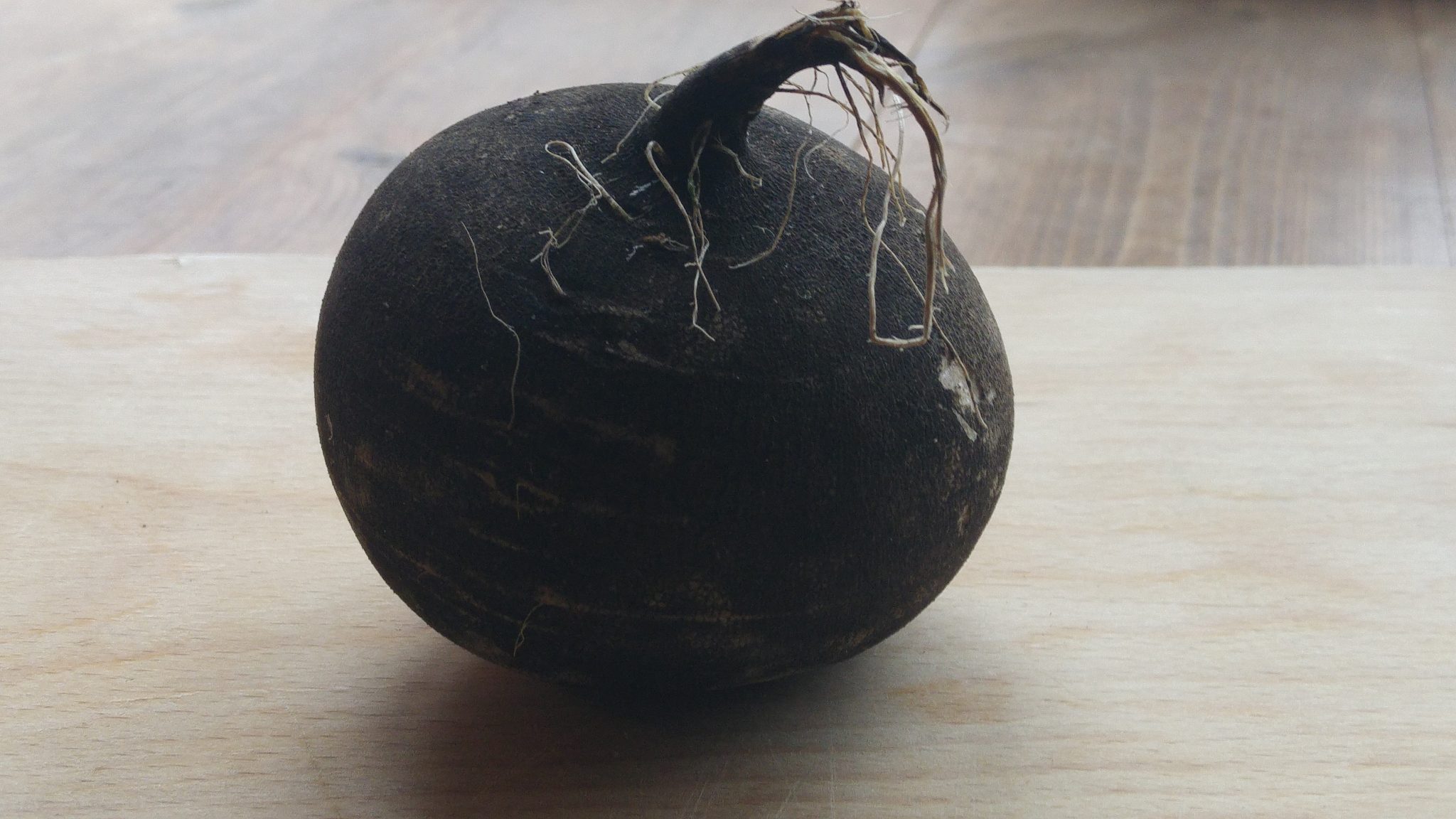 Pflanze des Monats Januar 2022 Schwarzer Rettich – Naturwerkstatt-Artemisia